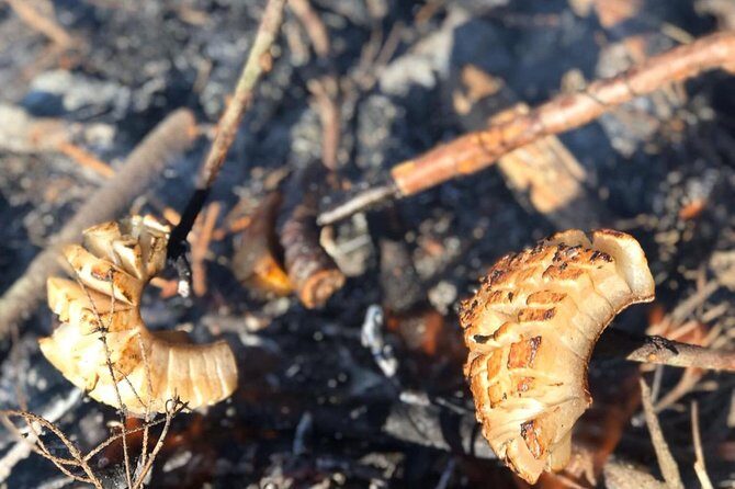 Day trip on Quad ATV - Transylvanian outdoor adventure - FAQ: Practical Questions About the Quad ATV Tour