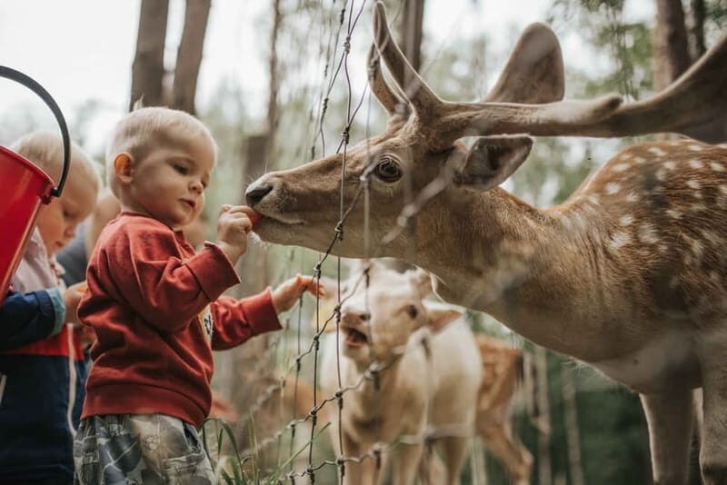 Day trip Riga - Sigulda, the 'Switzerland of Latvia' - Frequently Asked Questions