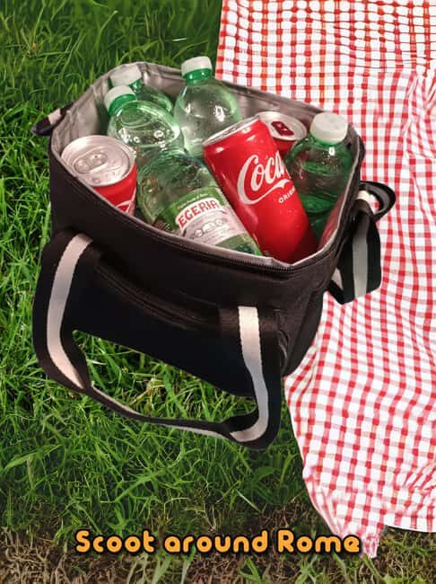 Day trip Rome by car : Tivoli Unesco Villa D'este & Hadrian - Final Thoughts: Who Is This Tour Best For?