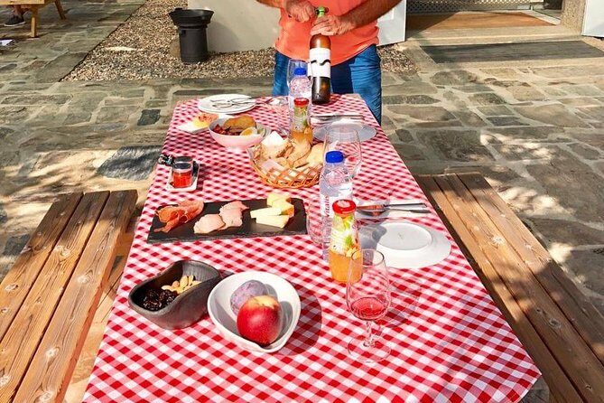 Day Trip Through the Enchanting Douro Valley #DuckSideOfPorto - Authentic Experiences & Local Flavor