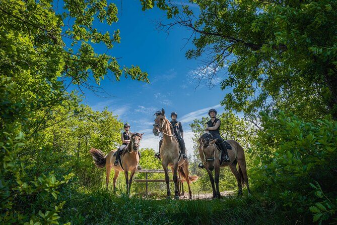Day Trip to Fontainebleau : Horse Riding, Gastronomy and Castle - Who Will Love This Tour?