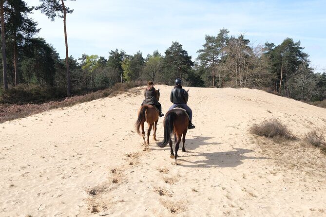 Day Trip to Fontainebleau : Horse Riding, Gastronomy and Castle - FAQs
