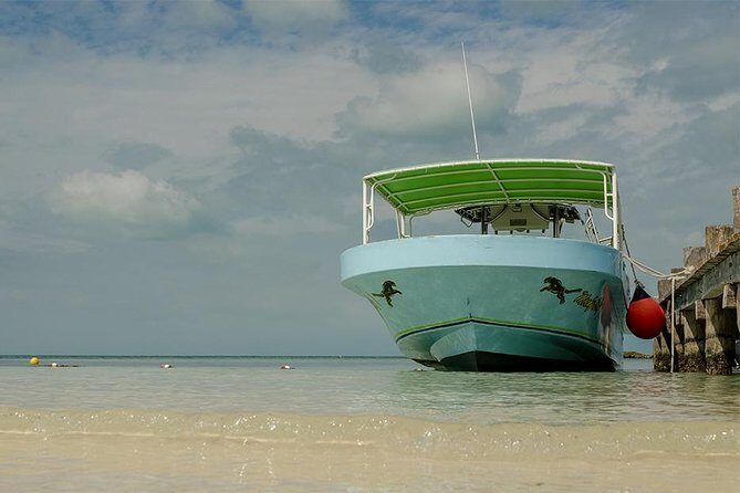 Day Trip to Isla Contoy - Key Points