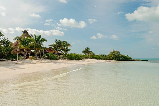 Day Trip to Isla Contoy - Final Thoughts