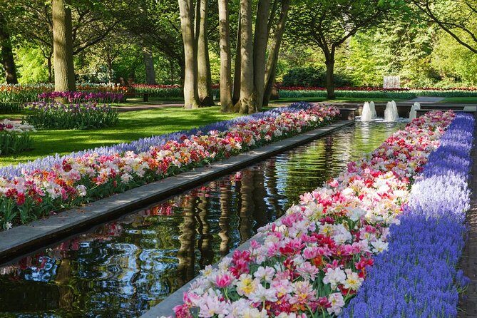 Day Trip to Keukenhof Gardens from Amsterdam with Tour Guide - The Guide and Transportation