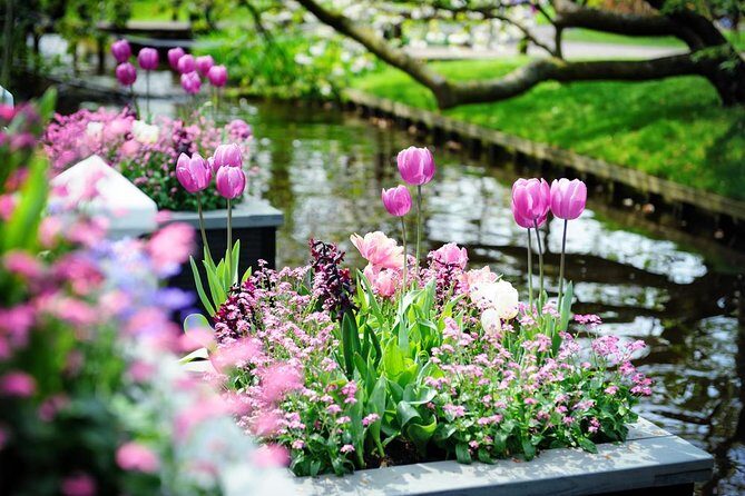 Day Trip to Keukenhof Gardens from Amsterdam with Tour Guide - Practical Tips for Making the Most of Your Trip