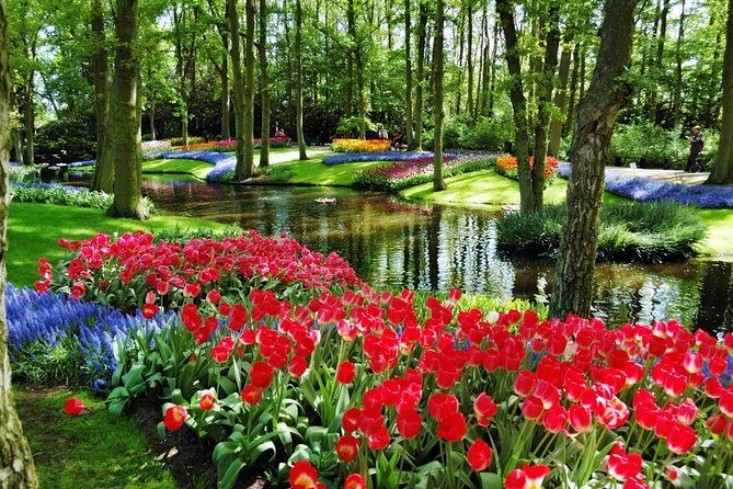 Day Trip to Keukenhof Gardens from Amsterdam with Tour Guide - Who Will Love This Tour?