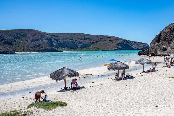 Day Trip to La Paz & Balandra Beach from Cabo San Lucas - What You Can Expect from the Tour