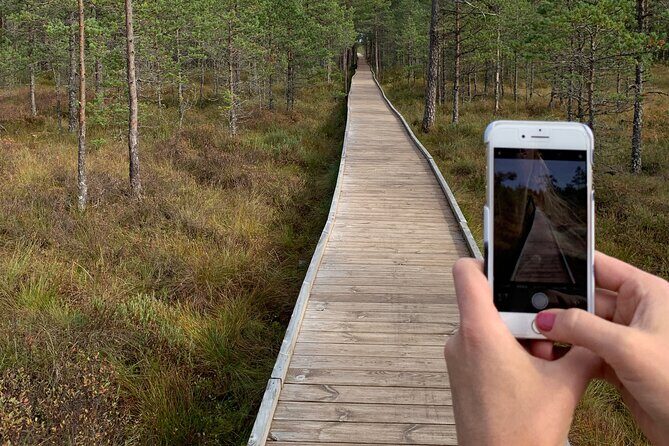 Day Trip to Land of Bays, the Romantic North-Coast from Tallinn - Pros and Cons to Consider