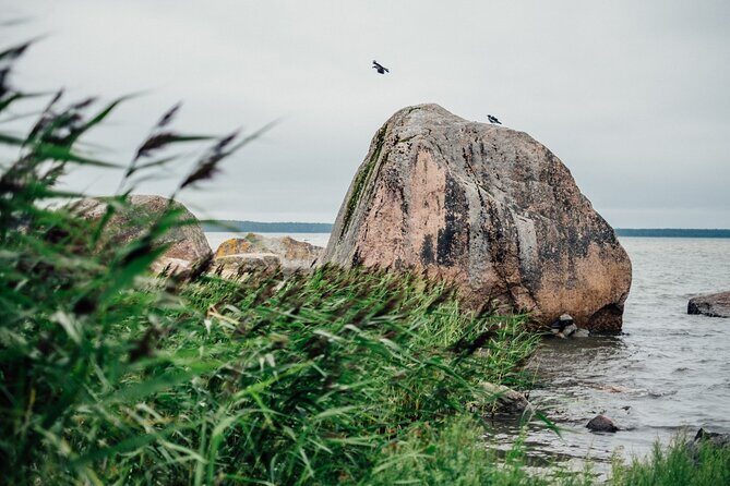 Day Trip to Land of Bays, the Romantic North-Coast from Tallinn - Final Thoughts