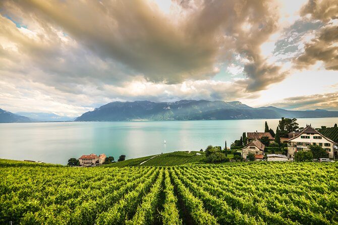 Day Trip to Montreux, Chaplin's World & Chillon Castle& apéritif - An In-Depth Look at the Experience