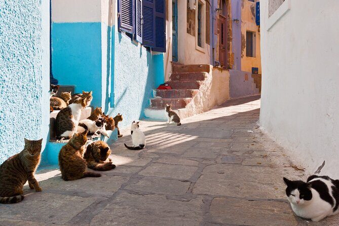 Day Trip to Nisyros Island - Final Thoughts: Is This Tour Worth It?