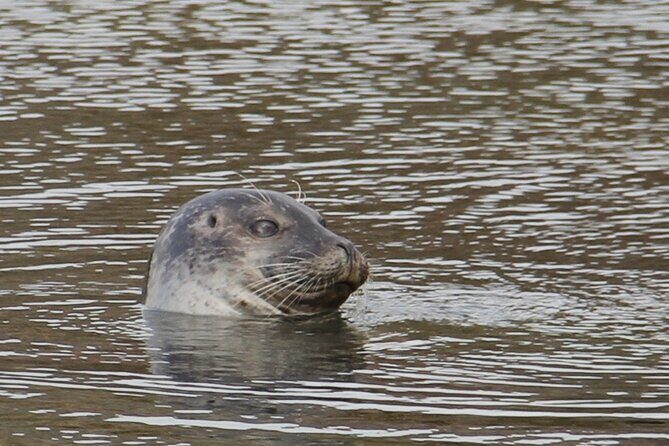 Day Trip to Snæfellsness Peninsula from Reykjavik - Final Thoughts