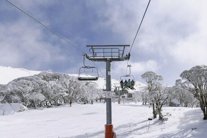 Day Trip To Snowy Mountains From Sydney - Why This Tour is a Smart Choice