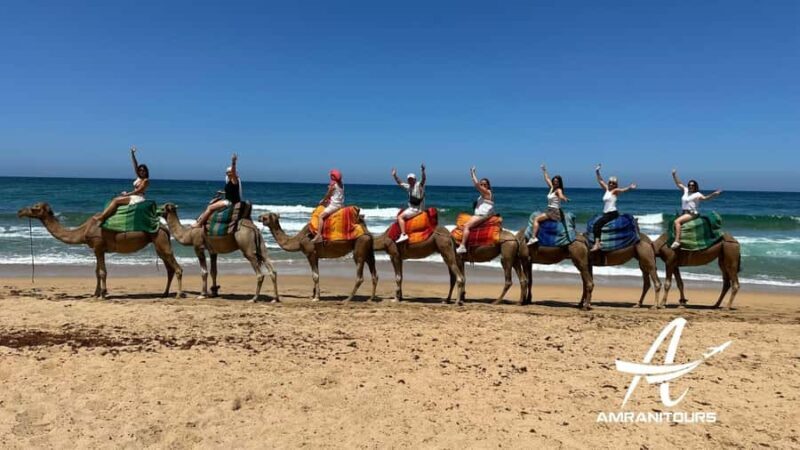 Day trip to Tangier Morocco from Malaga All inclusive - Final Thoughts: Is This Tour for You?