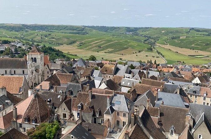 Day Trip to the Sancerre and Pouilly Vineyards - Frequently Asked Questions