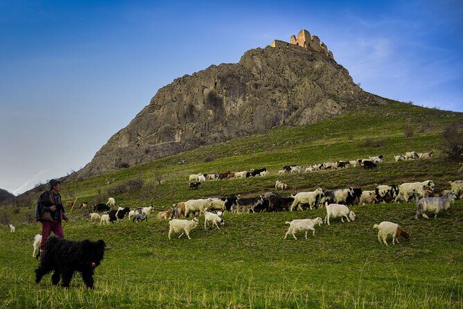 Day Trip To Turda Salt Mine, Rimetea Village & Coltesti Fortress - Final Words