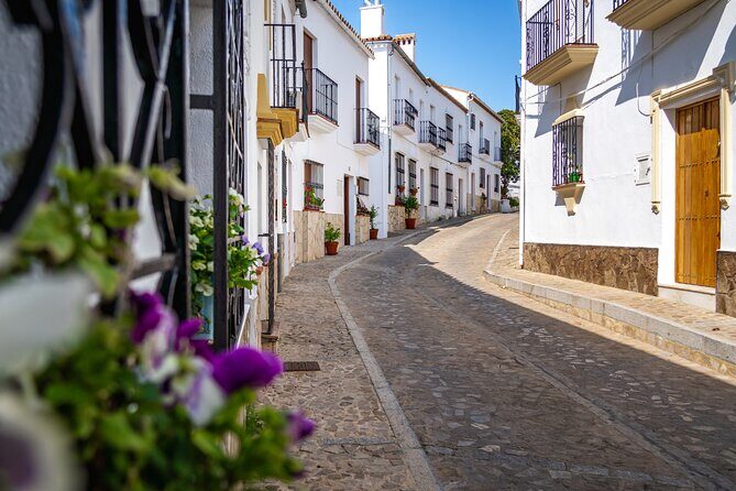 Day trip to Zahara, Setenil and Ronda from Seville - The Sum Up