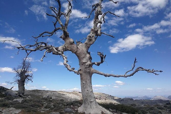 Dayhikes with pick-up from Marbella and Estepona - Final Thoughts  