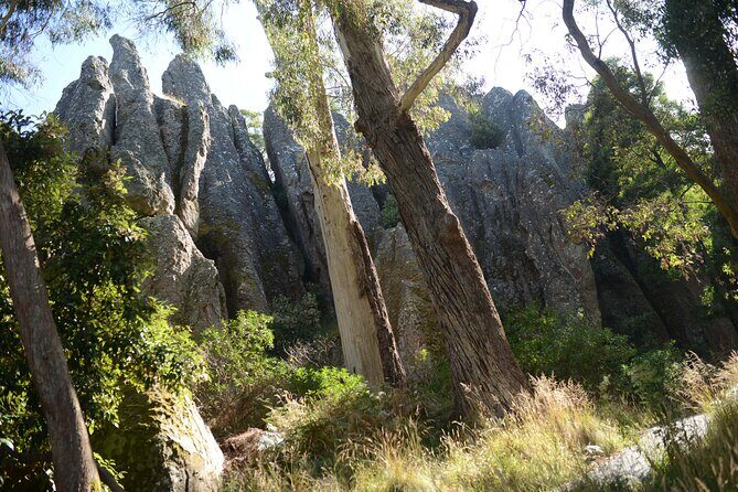 Daylesford Goldfields Track Walking and Wellness Experience - The Itinerary: A Walkthrough of the Highlights