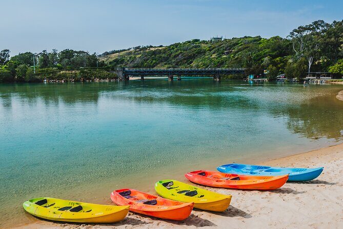 Daytime Kayak Eco Tour of New South Wales - Frequently Asked Questions
