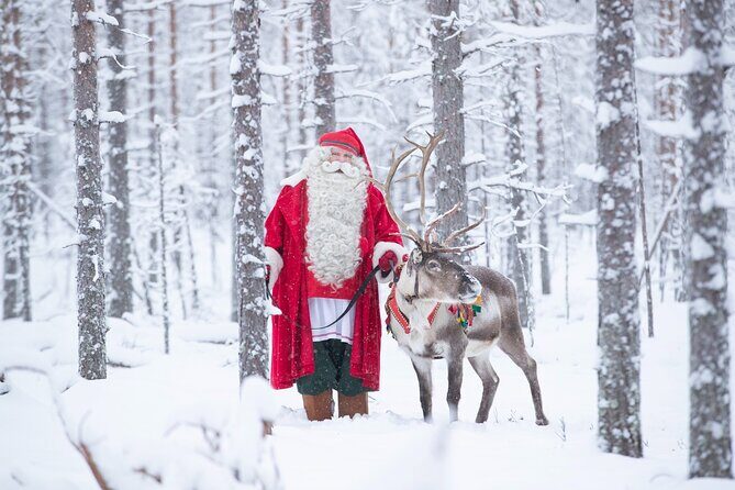 Daytour to Santa Claus Village, Reindeer and Husky Safaris, Photo, and Lunch - Who Will Love This Tour?