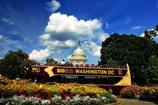 DC: Hop-on Hop-off Bus, Arlington Walking Tour, and Night Tour - Exploring the DC Experience: Hop-on Hop-off Bus, Arlington Walking Tour, and Night Tour