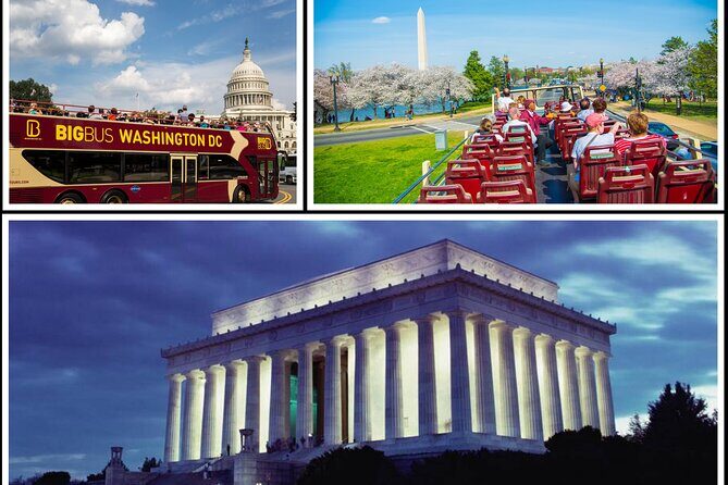 DC: Hop-on Hop-off Bus, Arlington Walking Tour, and Night Tour - Key Points