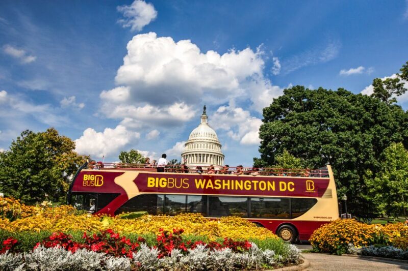 DC: Hop-On Hop-Off with 17 Stops plus Arlington Walking Tour - Authentic Traveler Insights
