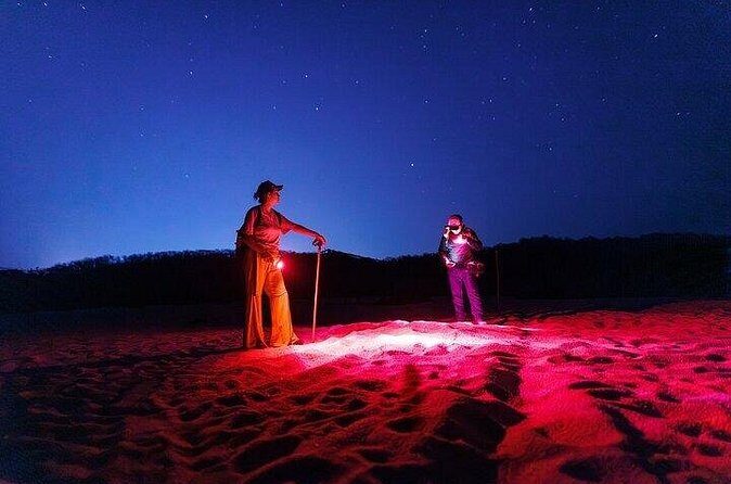 DE rismo and Night Monitoring of Sea Turtles - Who Will Love This Tour?