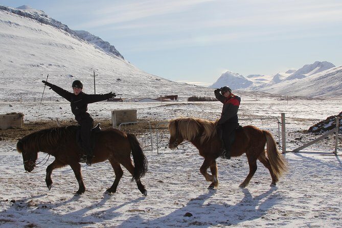 Deacon Horse Riding Tour - What You Can Expect from the Tour