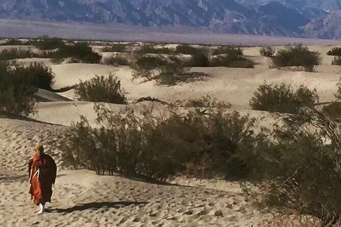 Death Valley Small Group Luxury SUV Day Tour - The Sum Up