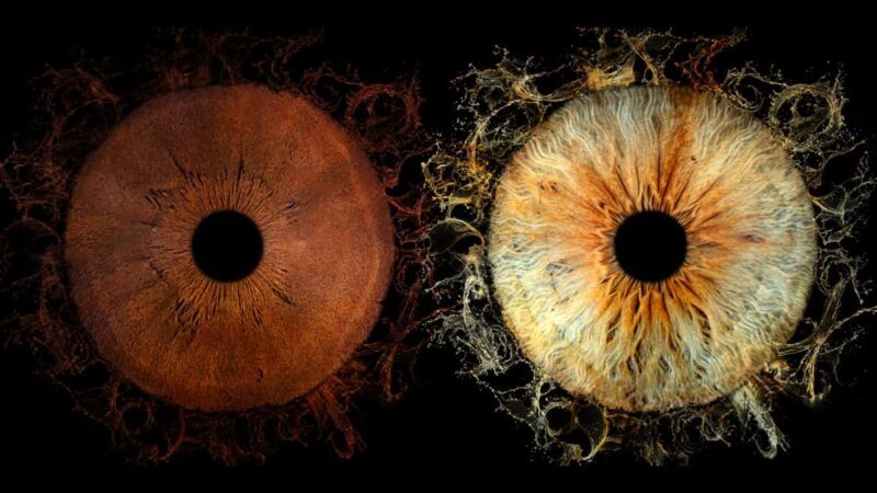 Deauville: Reveal the beauty of your iris with Iris Galerie - Key Points