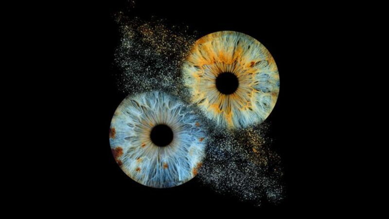 Deauville: Reveal the beauty of your iris with Iris Galerie - An In-Depth Look at the Iris Galerie Experience
