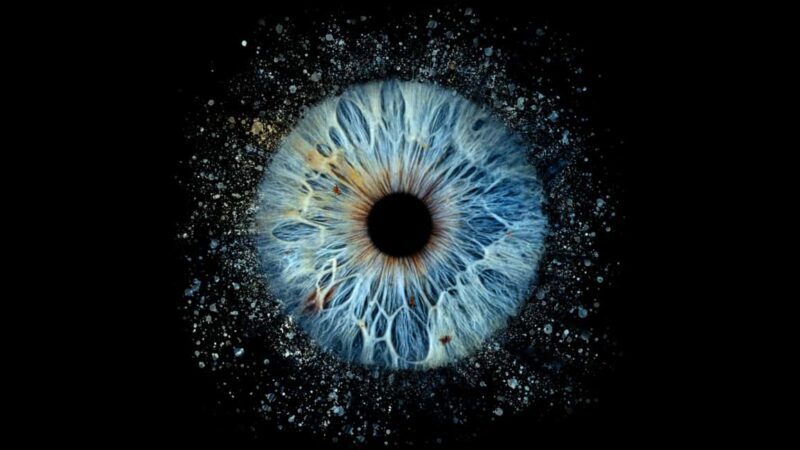 Deauville: Reveal the beauty of your iris with Iris Galerie - FAQs about Iris Galerie in Deauville