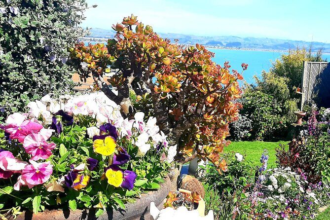 Deco Napier, Te Mata Peak, Garden Walk and Wine Tasting Tour - Key Points