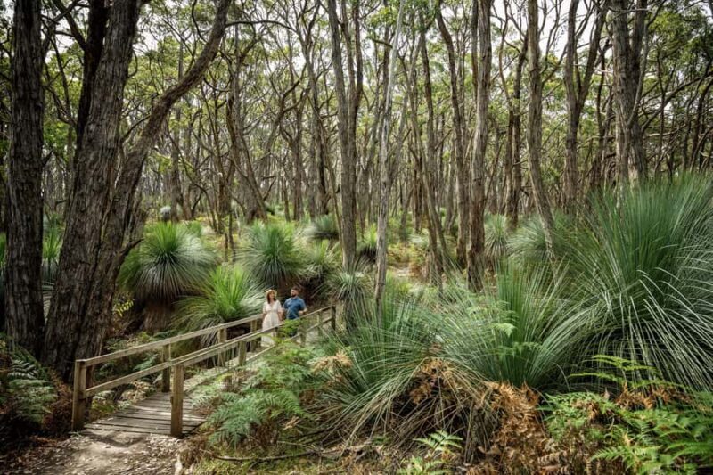 Deep Creek National Park: 4WD Adventure and Native Food Tour - Authentic Insights from Reviewers
