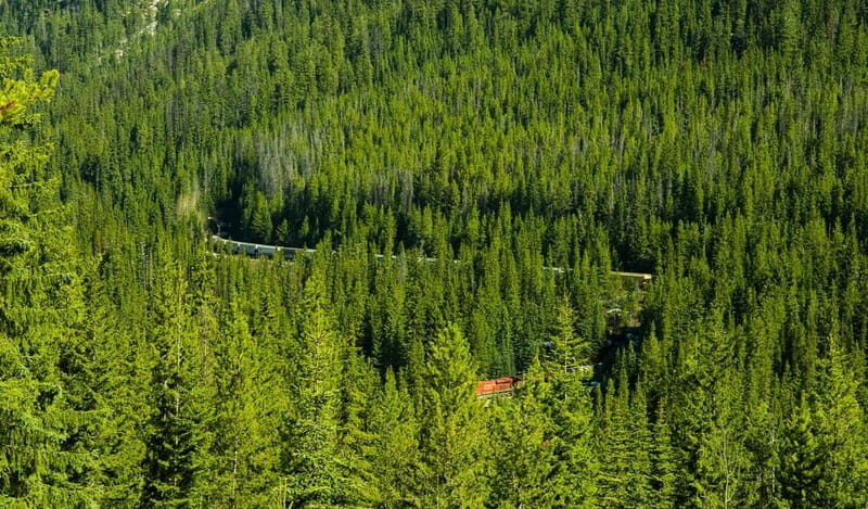 Deep Day Tour to Emerald, Moraine, Louise Lake, J. Canyon... - Final Thoughts