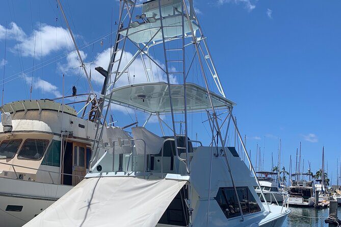 Deep Sea Sport Fishing - An In-Depth Look at the Deep Sea Sport Fishing Experience