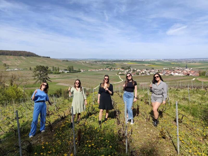 Dégustation de champagne balade panoramique dans les vignes - What to Expect on the Champagne Safari Tour