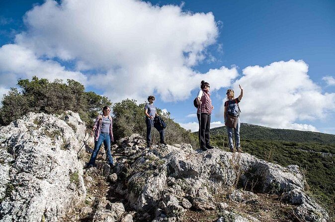 Delphi: Ancient Footpath Delphi Hiking - Final Thoughts