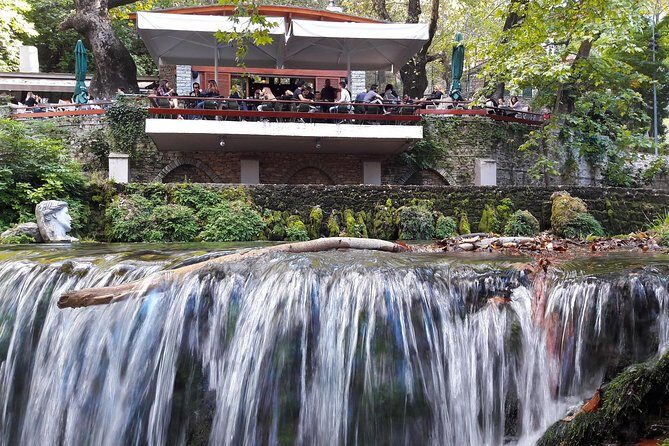 Delphi (Apollo Oracle/ Athena Tholos) private day tour from Athens (10 hours) - Price and Value Analysis