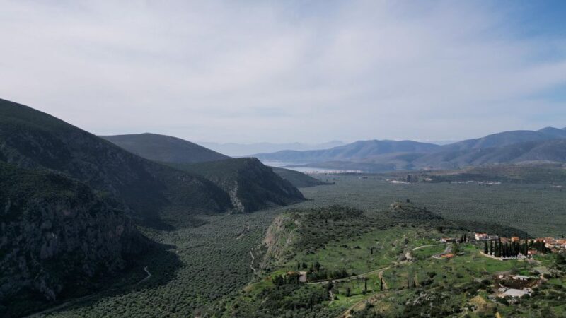 Delphi: Easy Hike on Ancient Path through the Olive Groves - The Practicalities: What You Need to Know