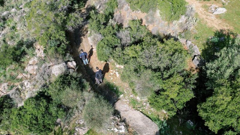 Delphi: Easy Hike on Ancient Path through the Olive Groves - Final Thoughts