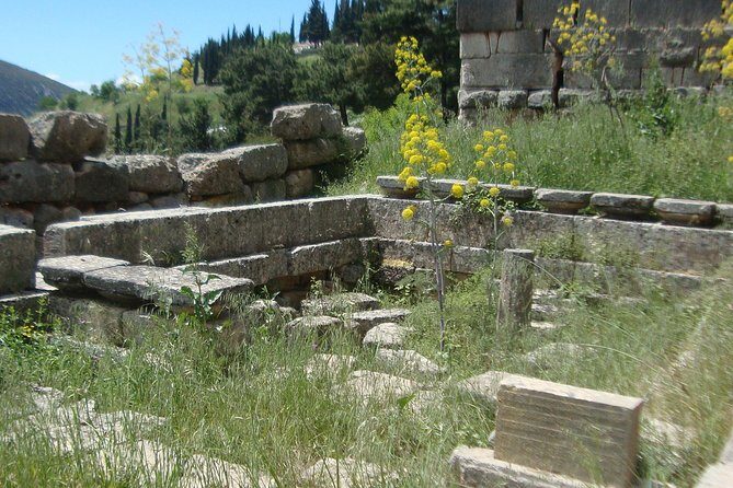 Delphi Self-guided Audio Tour on Your Phone (no ticket) - FAQ