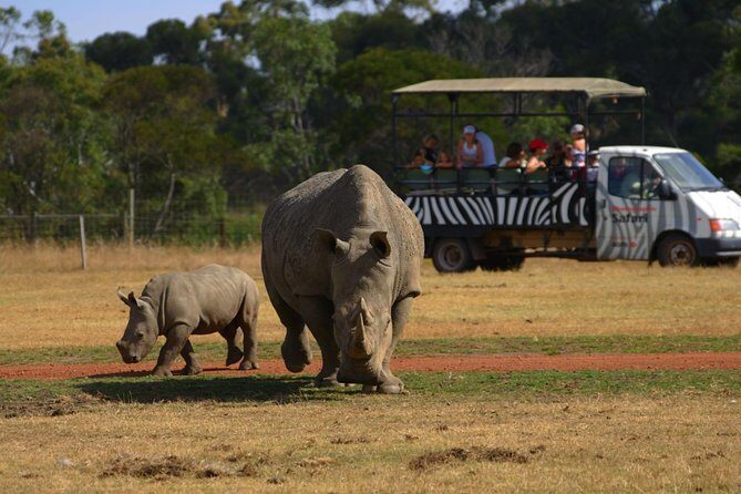 Deluxe Safari Adventure at Werribee Open Range Zoo - excl. entry - What is the Deluxe Safari Adventure?