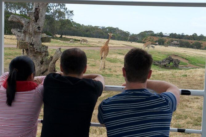 Deluxe Safari Adventure at Werribee Open Range Zoo - excl. entry - The Value of the Experience