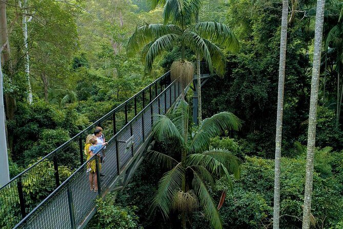 Deluxe Springbrook & Mt Tamborine Glow Worms and famous Skywalk - A Well-Organized Day Out with Plenty of Highlights
