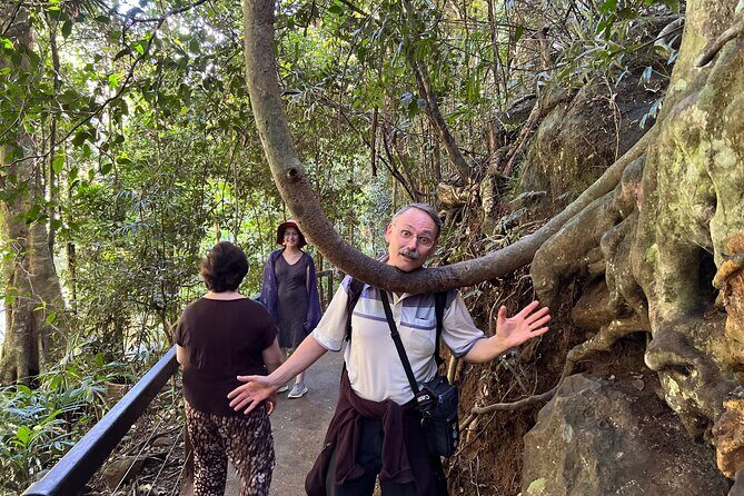Deluxe Springbrook & Mt Tamborine Glow Worms and famous Skywalk - Authentic Insights from Travelers