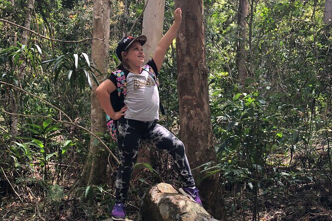 Deluxe Springbrook & Mt Tamborine Glow Worms and famous Skywalk - Who Should Book This Tour?